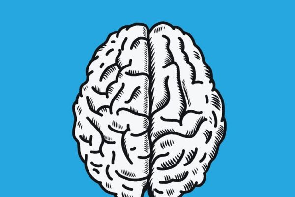 Left Side Brain Damage: What to Expect During the Recovery Process ...