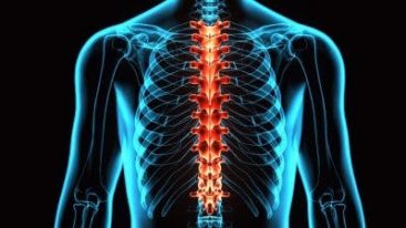 What to Expect After a T4 Spinal Cord Injury: Is Recovery Possible ...